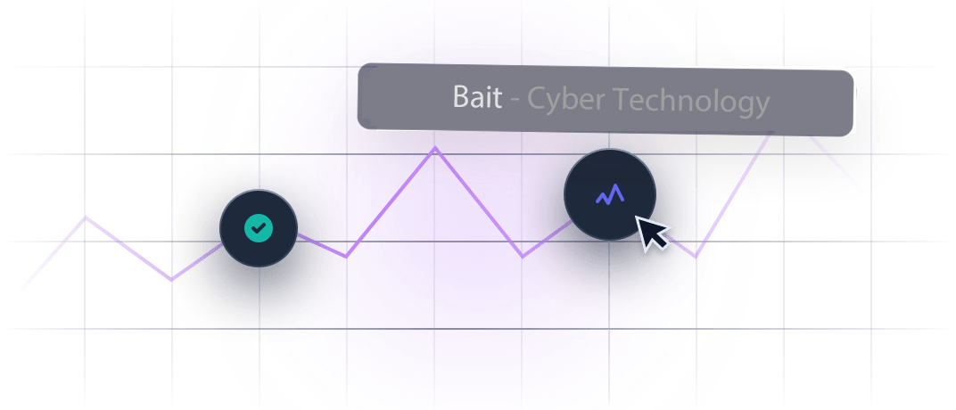 Bait Cyber Security